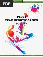 The Sports Development Pyramid | PDF | Sports | Physical Fitness