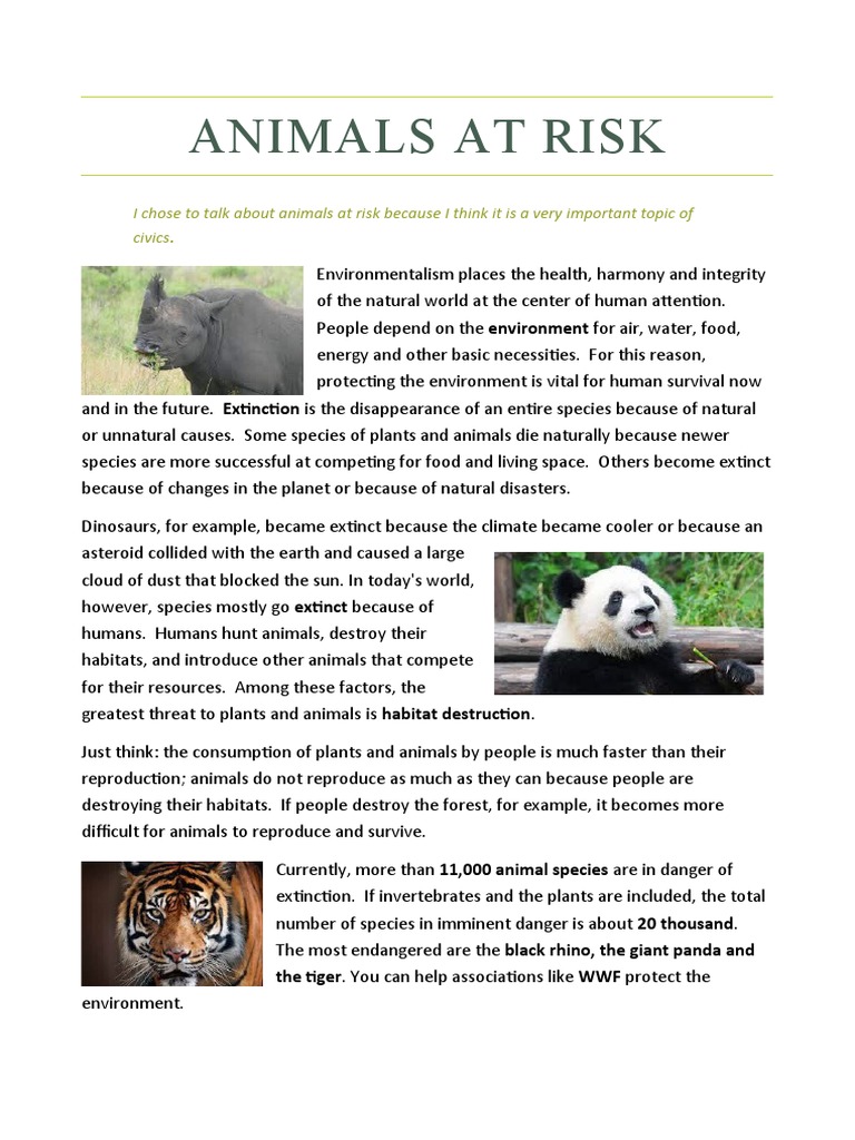 Animals at Risk | Download Free PDF | Extinction | Natural Environment