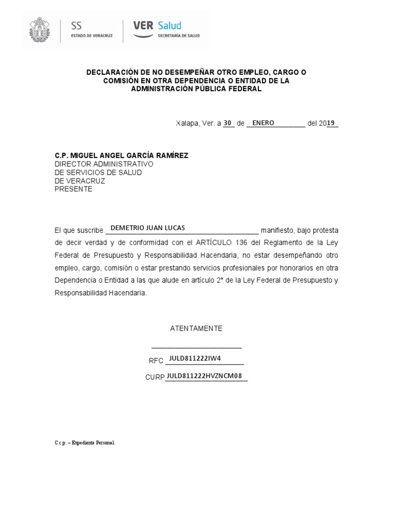 03 Declaración de No Desempeñar Otro Empleo | PDF
