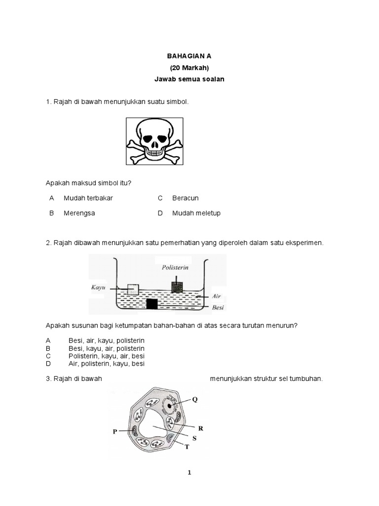 PAT T1 (Sains) | PDF