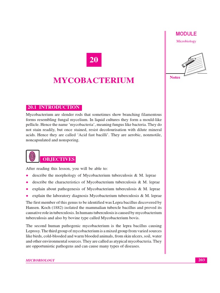 Understanding Mycobacterium: Morphology, Characteristics, Pathogenesis ...