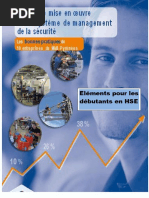 Plan HSE | PDF | Risque | Sécurité