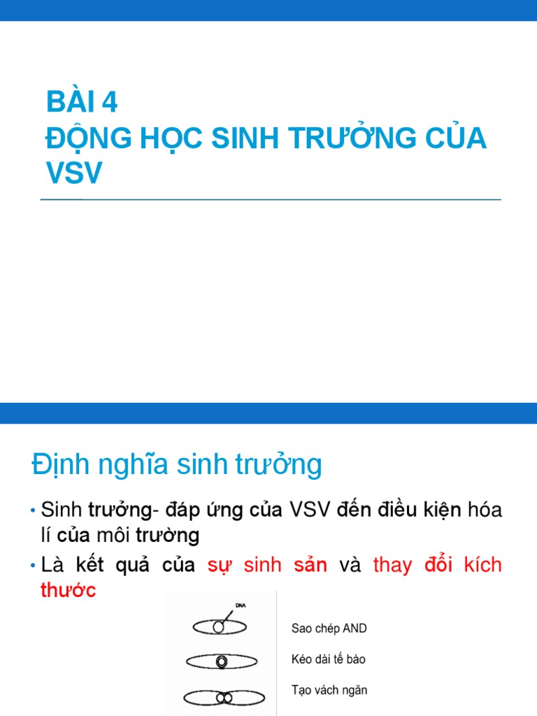 Bai 4 Donghocsinhtruong Batch | PDF