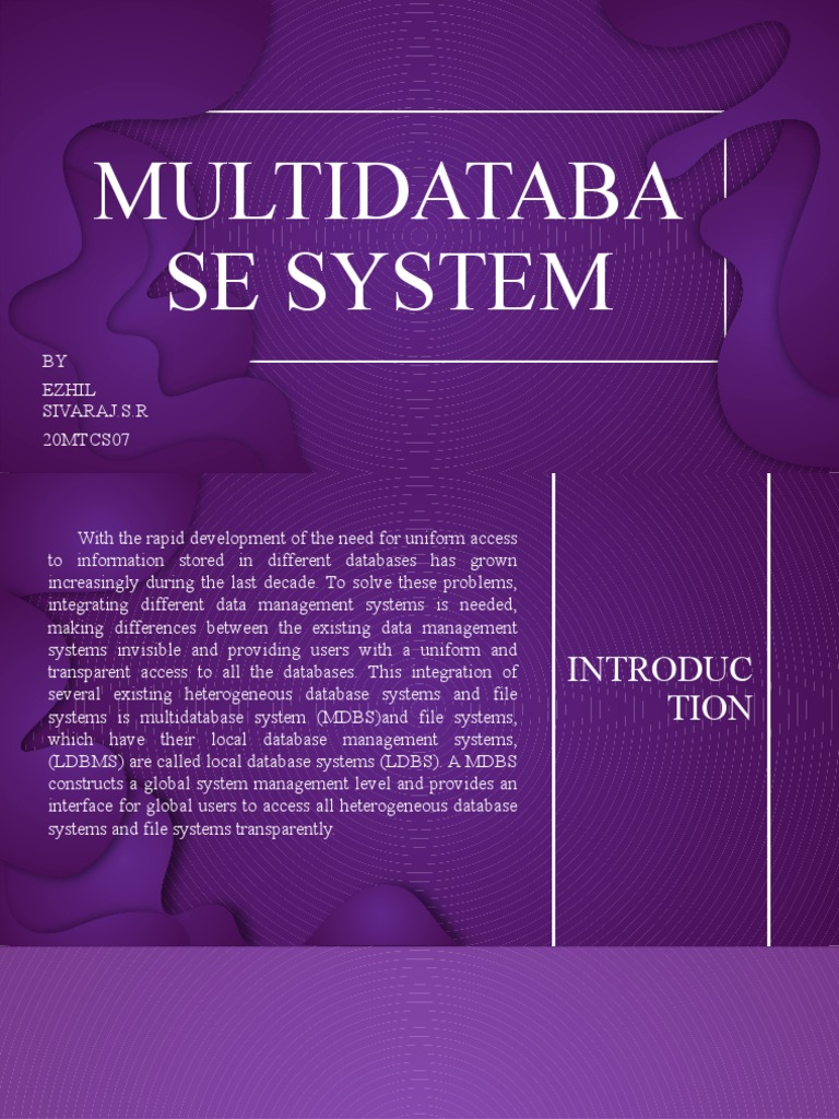 Multidatabase Systems Overview | PDF | Databases | Computer Science