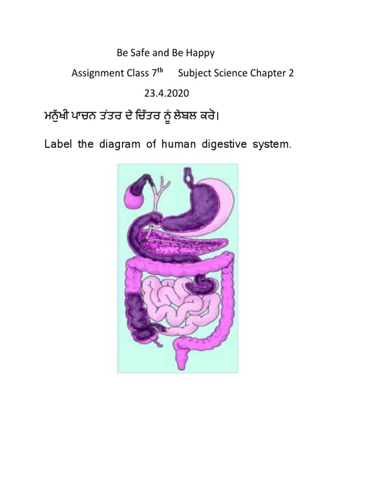 assignment-7th-class-pdf