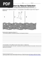 Rock Pocket Mouse Color Variation Study | PDF | Mouse | Natural Selection