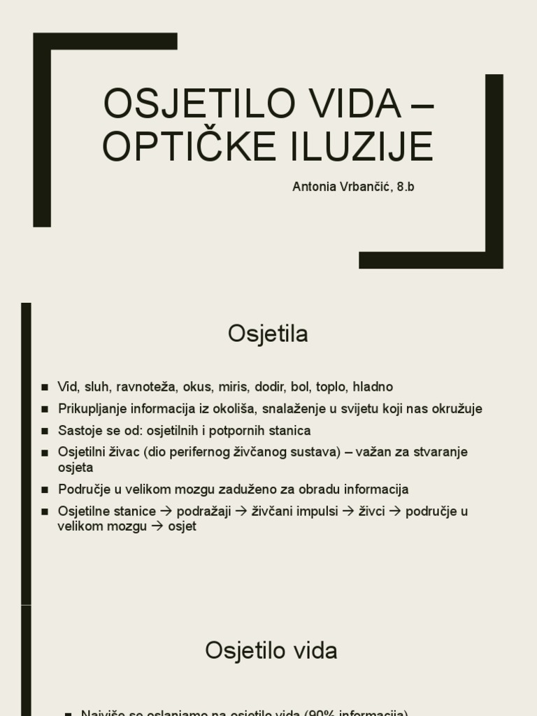 Osjetilo Vida - Iluzije | PDF