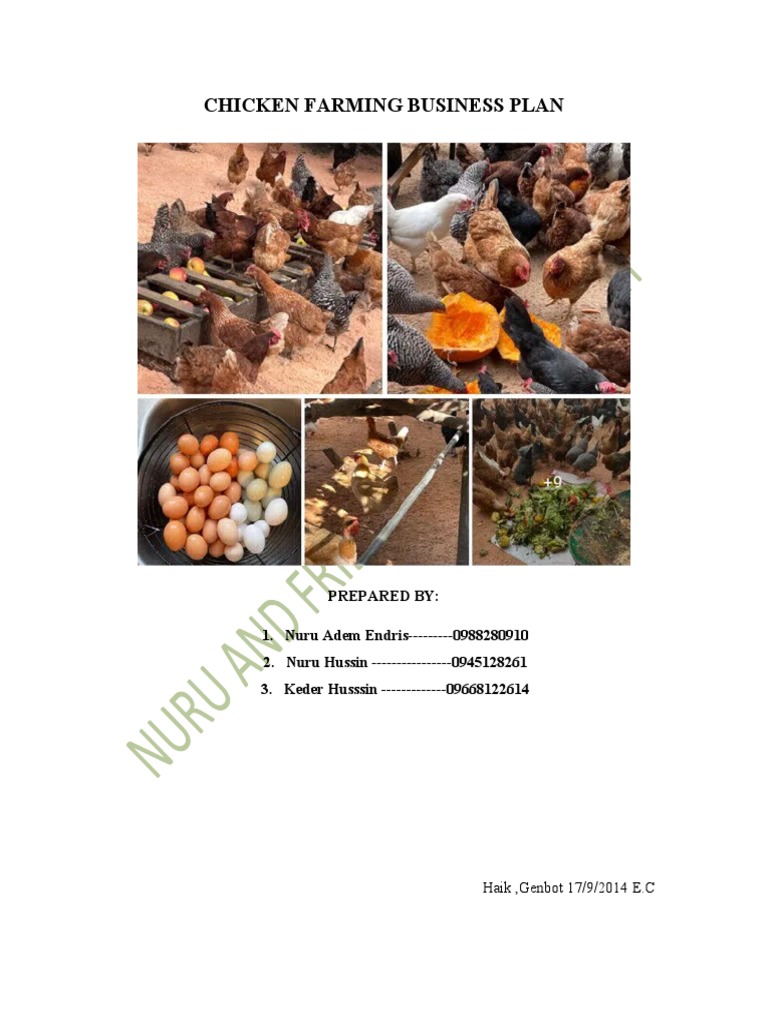 Nuru and Friends Chicken Farming Businness Plan | PDF | Poultry Farming ...