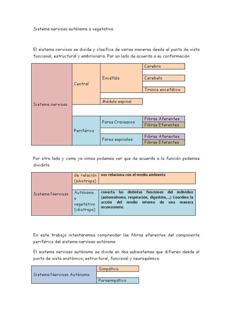 Sistema Nervioso Autónomo: Estructura y Función | PDF | Sistema ...
