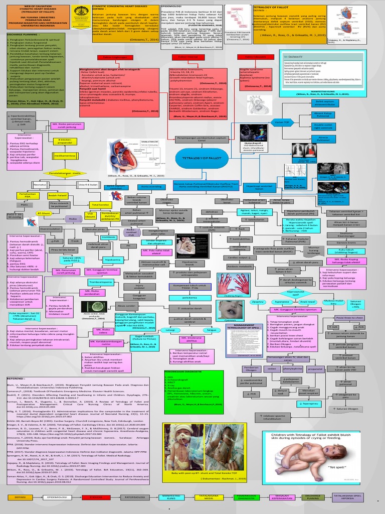 Woc PJB Sianotik-Tof, Ina Yuhana | PDF