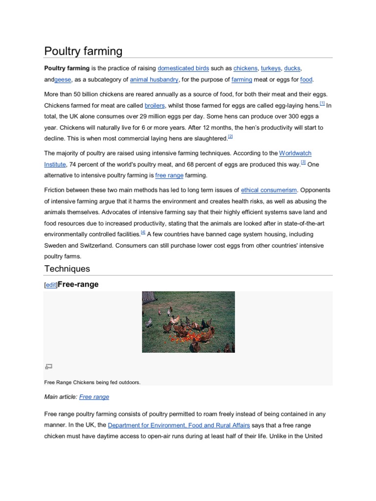 Poultry Farming | PDF | Poultry Farming | Chicken