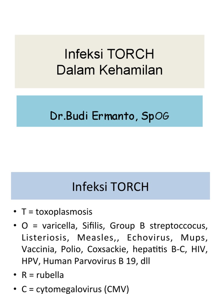 4.infeksi TORCH Dalam Kehamilan | PDF | Pengembangan Diri