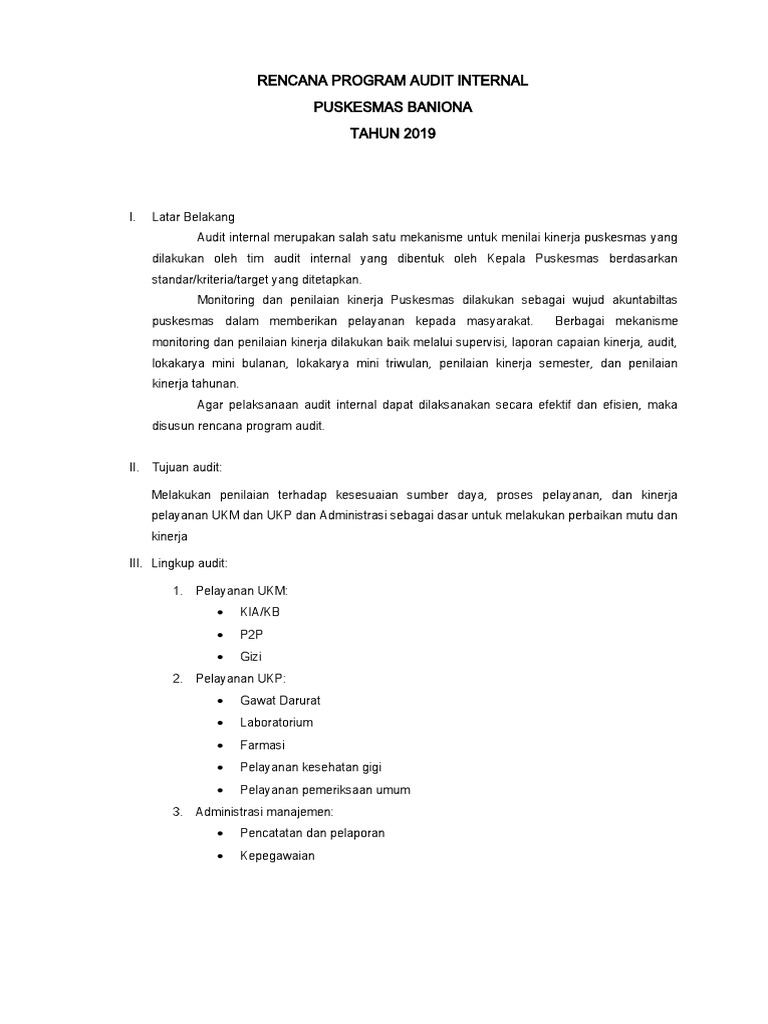 RENCANA PROGRAM AUDIT INTERNAL PKM Bo | PDF
