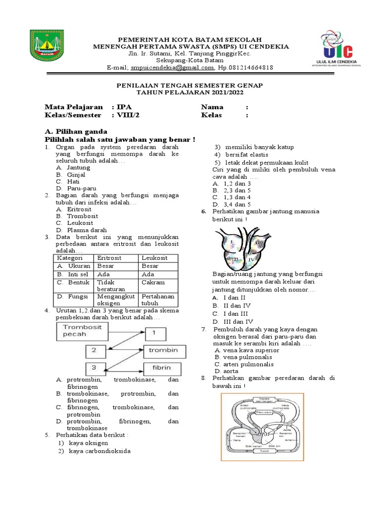 Soal PTS Ipa Kelas 8 Sem 2 Legal | PDF