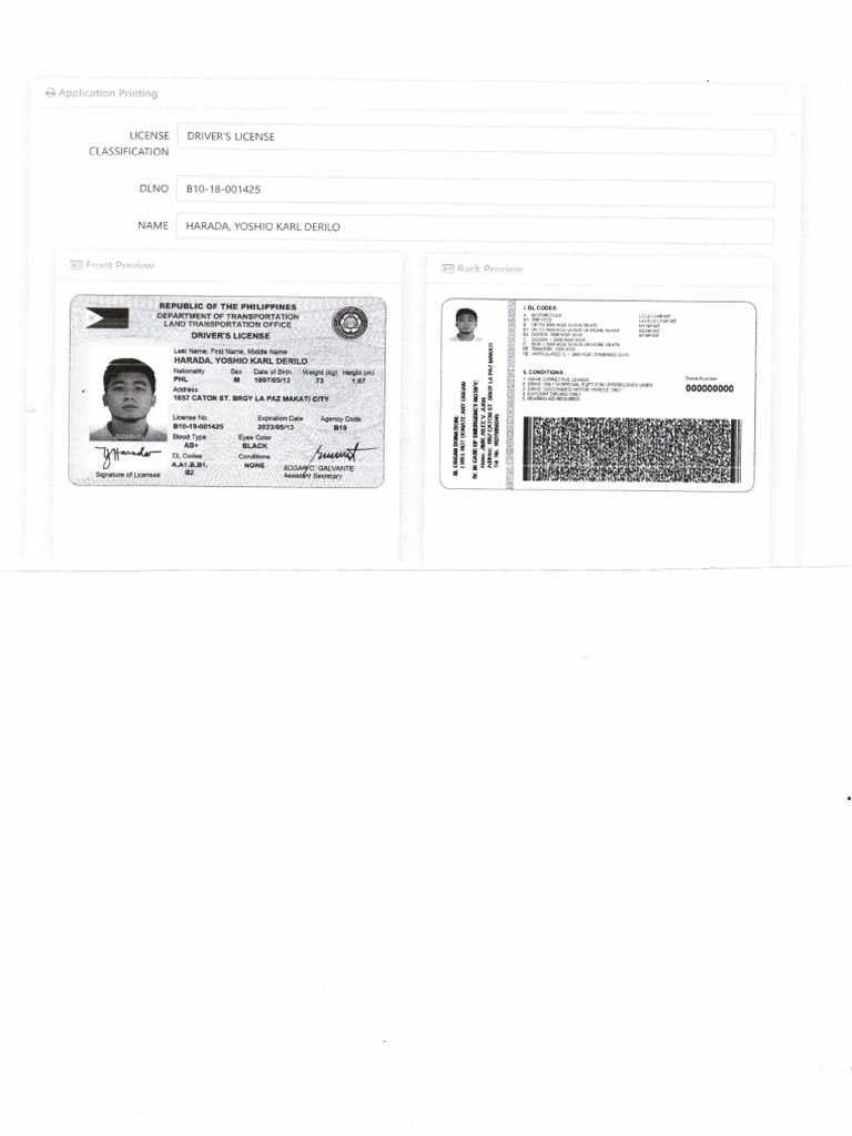 Drivers License Temporary ID | PDF