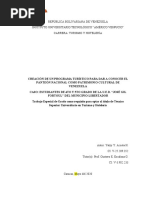 Infografía Poder Popular de Venezuela | PDF | Política | Ciencias sociales