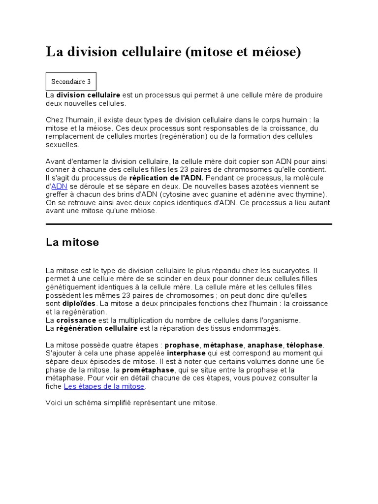 Phases de la division cellulaire | PDF | Mitose | Méiose