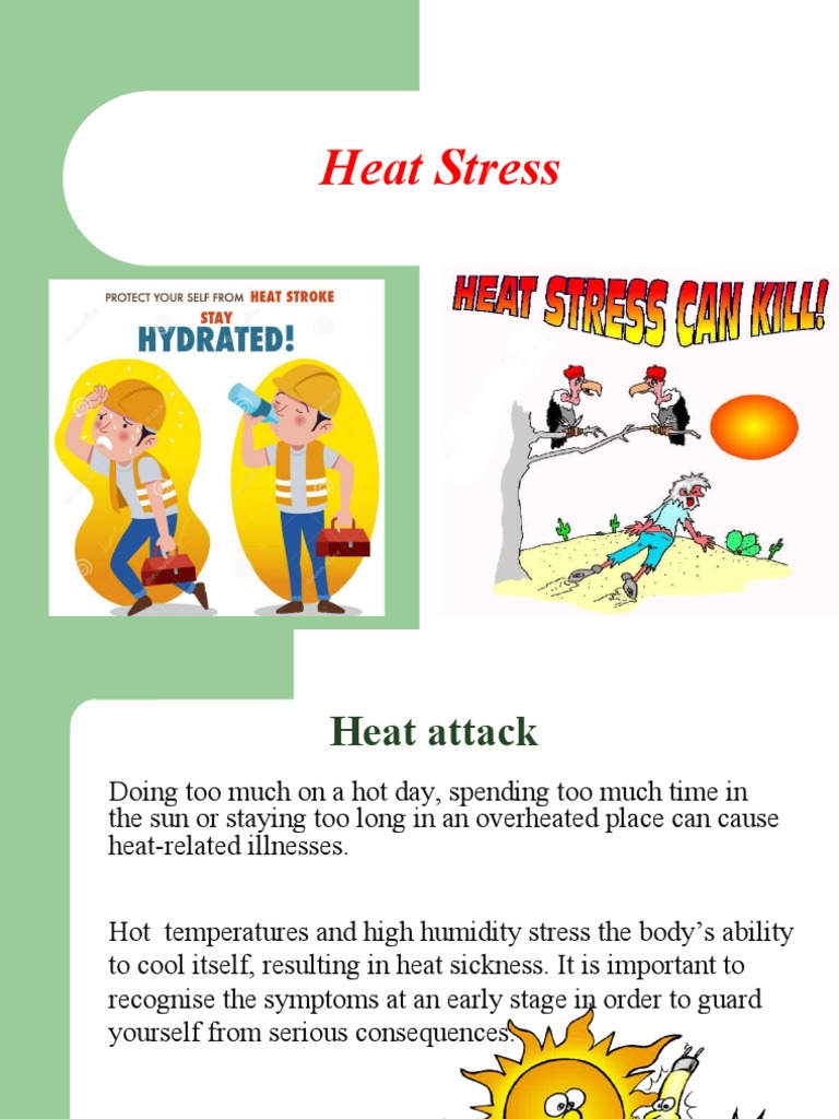 Heat Stress HSE Presentation | PDF | Hyperthermia | Air Conditioning