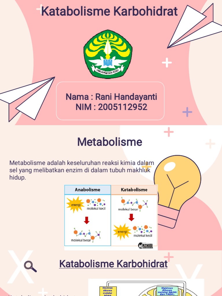 2 Kel 1 Biokimia PPT Katabolisme Karbohidrat | PDF