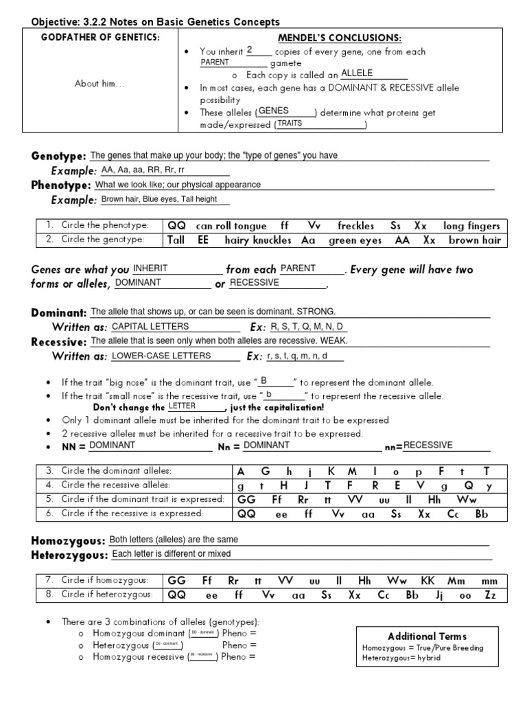Basic Genetics Concepts Overview | PDF | Dominance (Genetics) | Zygosity