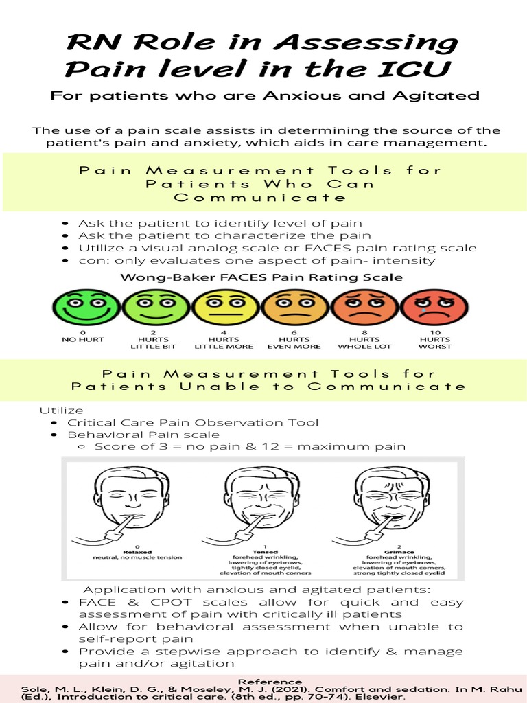 Pain Scale | PDF