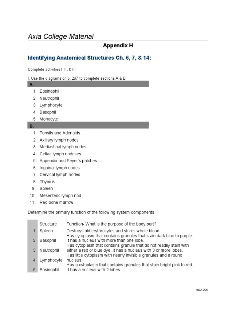 Identifying Anatomical Structures 6,7&14 | PDF