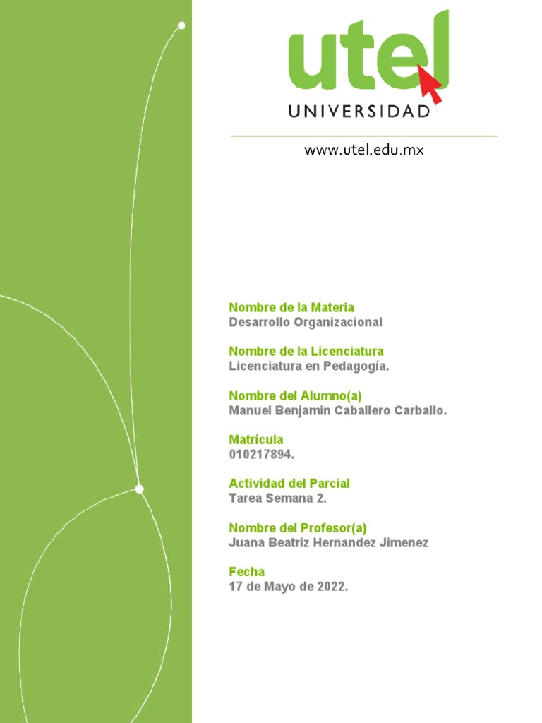 TAREA Sem2 | PDF | Business | Economias