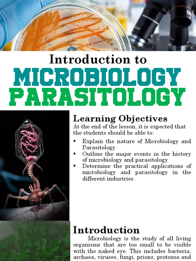 SEd 323 Lesson 1 - Introduction To Microbiology and Parasitology | PDF | Microbiology ...