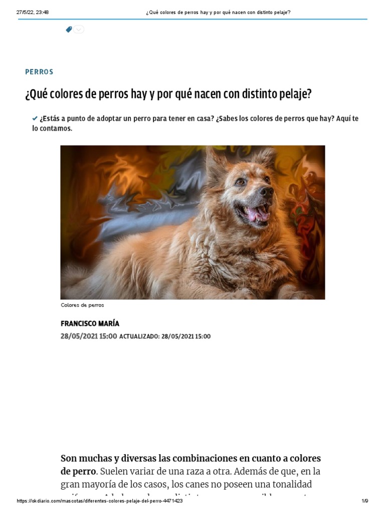 Colores y tipos de pelaje en perros | PDF | Yorkshire Terrier | Perros