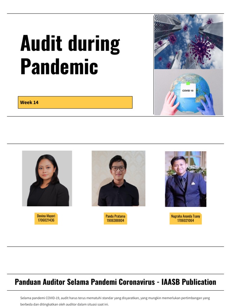 Panduan Audit Selama Pandemi COVID-19 | PDF