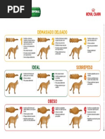 Reflejo de Flehmen en Animales | PDF | Biología
