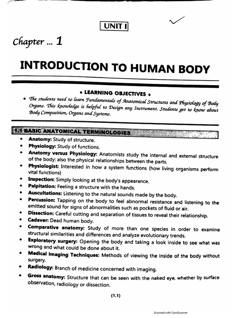 Introduction To Human Body | PDF