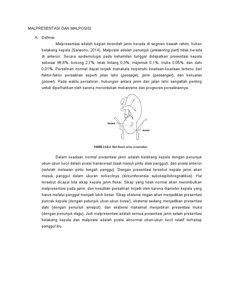 Malpresentasi Dan Malposisi | PDF