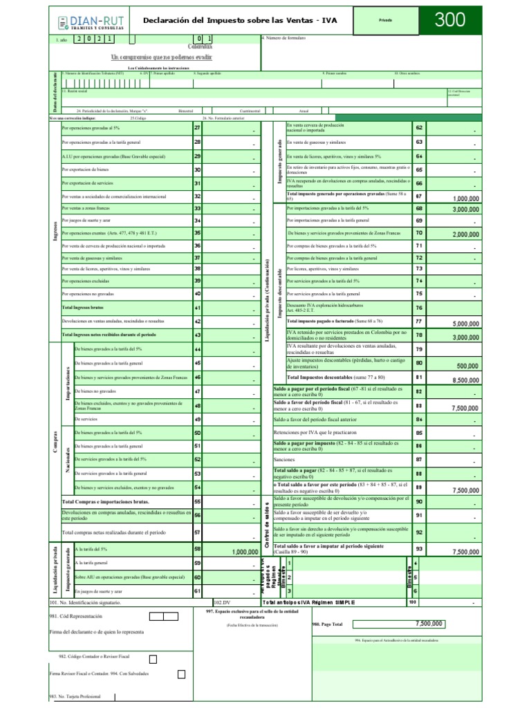 Formulario Dian 300 | PDF | Ley Pública | Dinero
