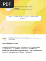 Escala de Glogau | PDF | Piel | Medicina