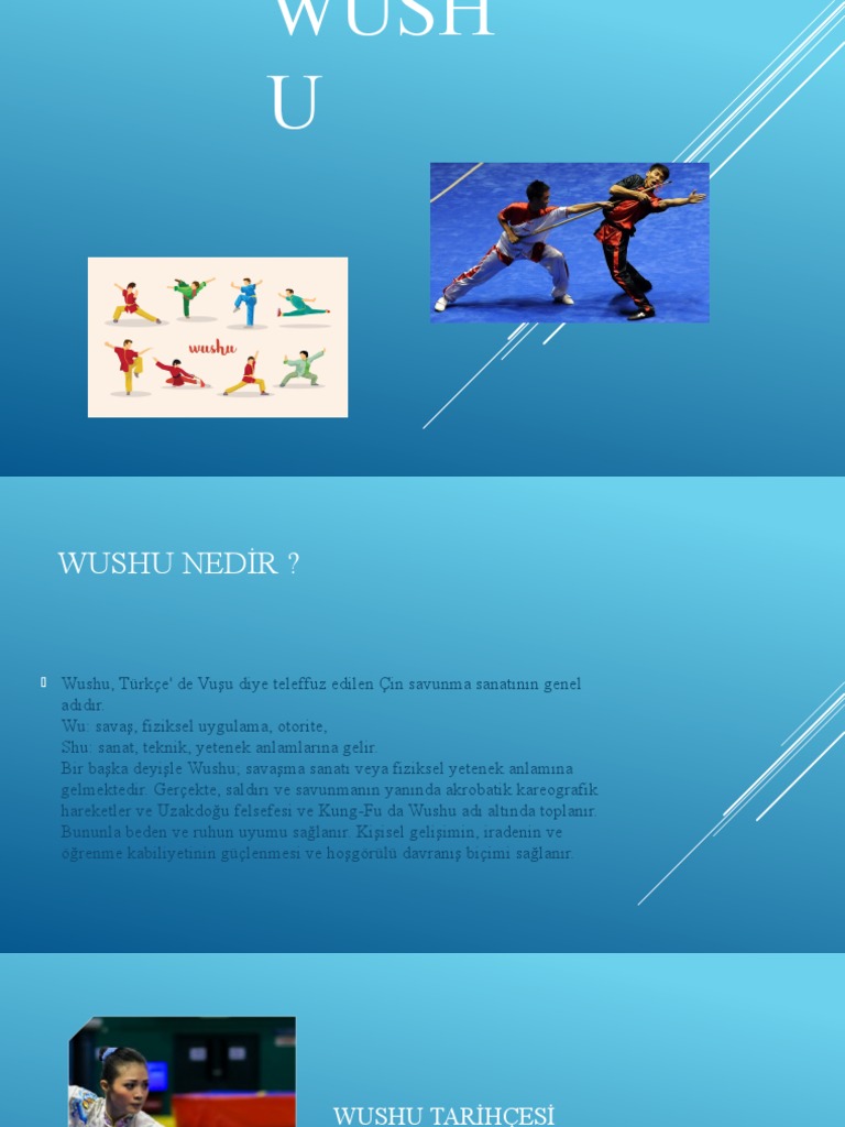 WUSHU | PDF