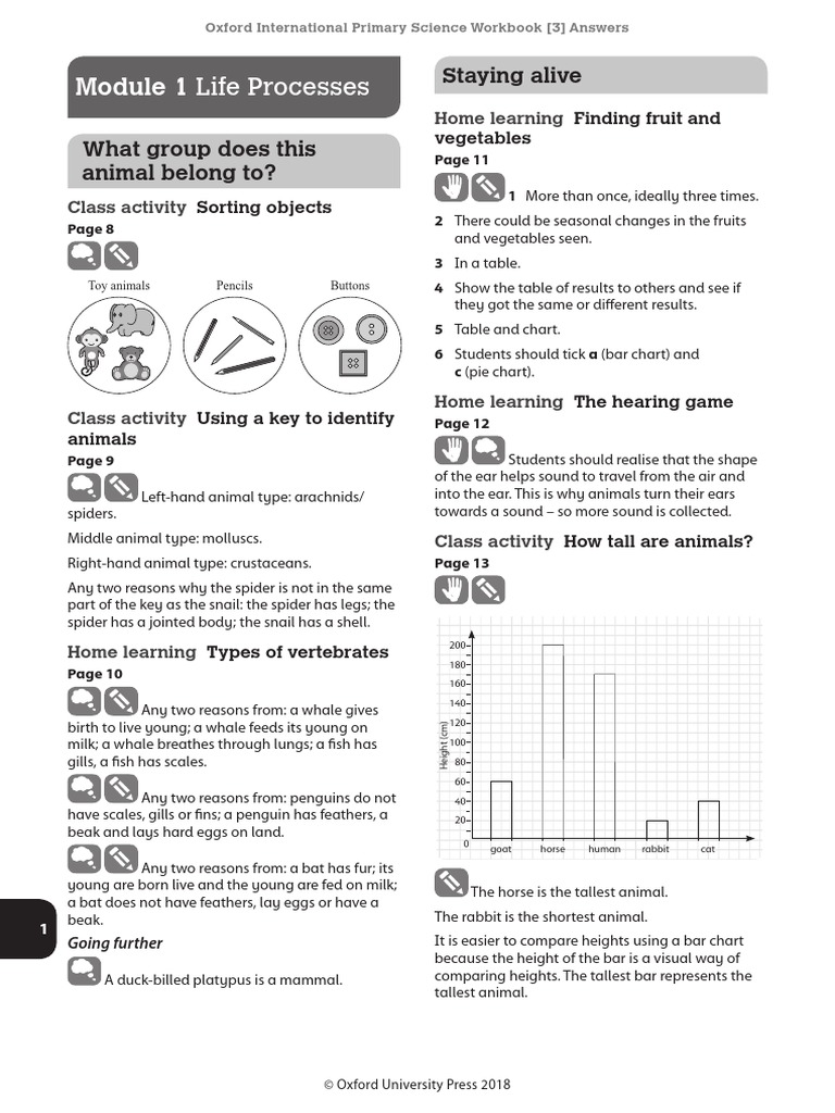 Oxford Stage - 3 - Workbook - Answers | PDF | Root | Plants