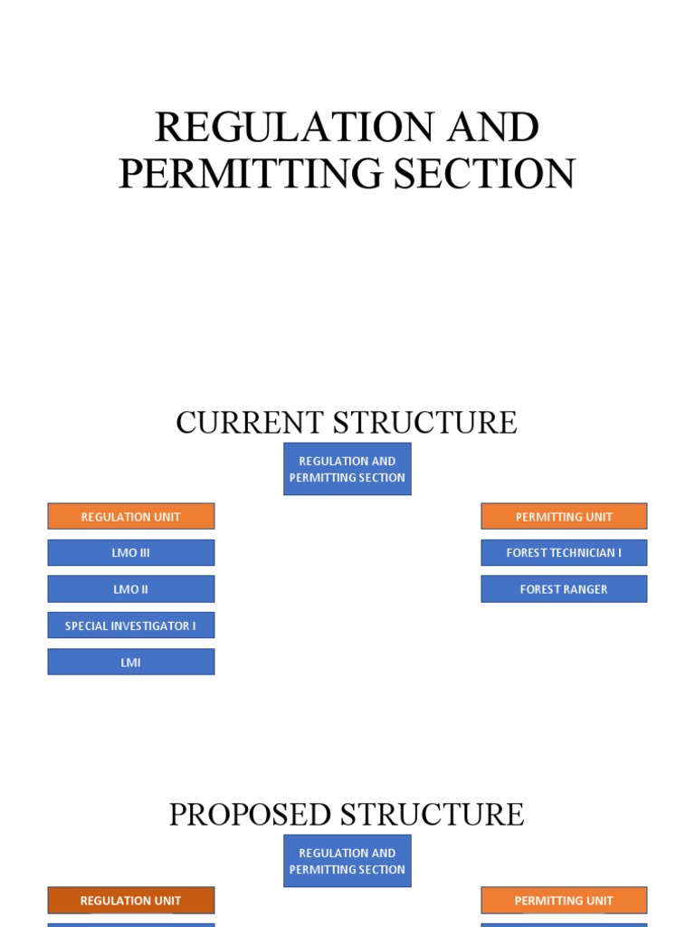 Regulation and Permitting Structure Overview | PDF
