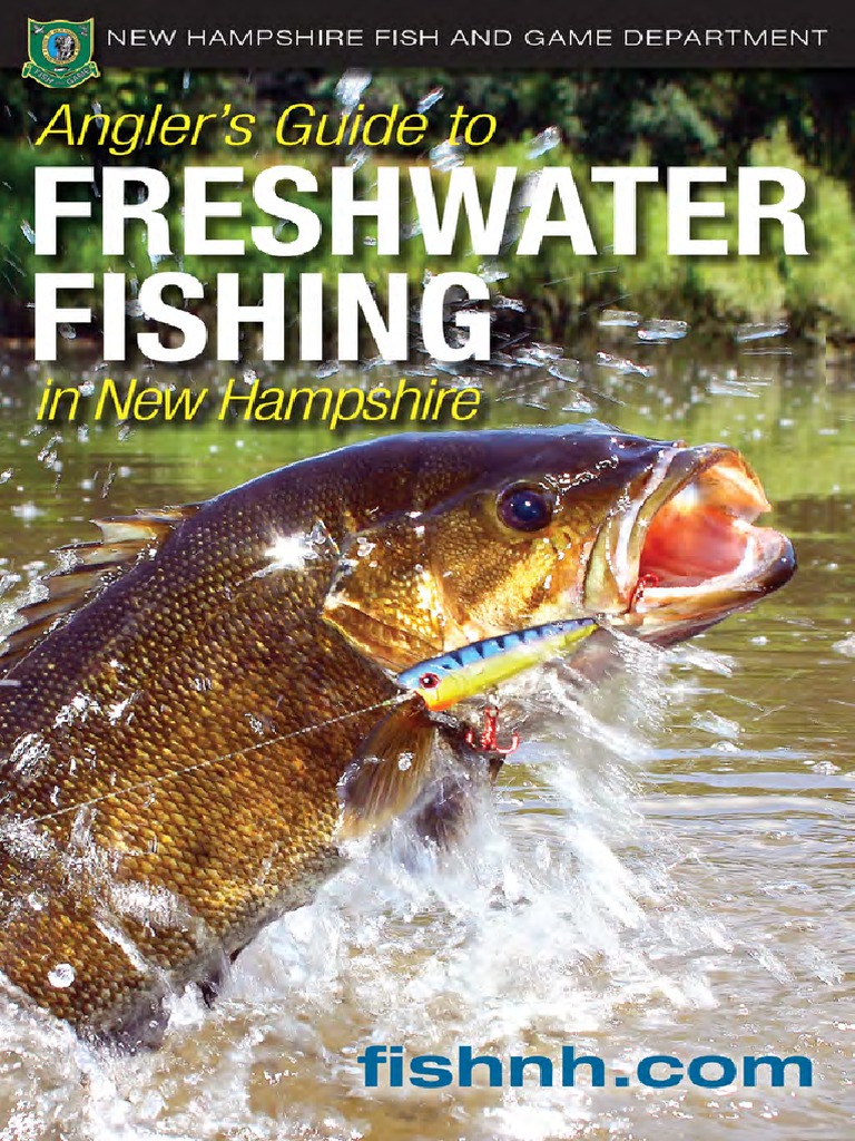NH Freshwater Fishing Guide | Download Free PDF | Fly Fishing | Trout