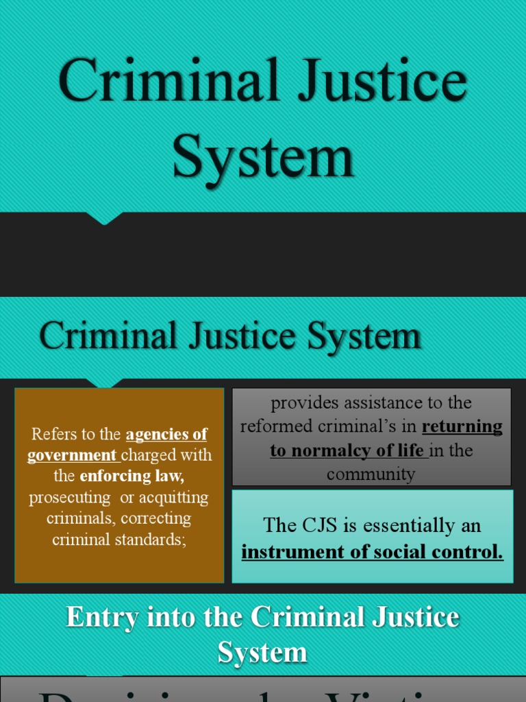 Criminal Justice System | PDF