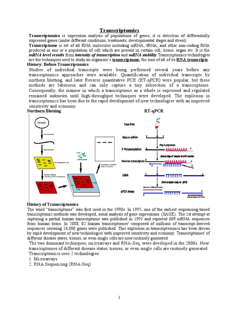 Chapter On Transcriptomics | PDF | Transcriptome | Rna