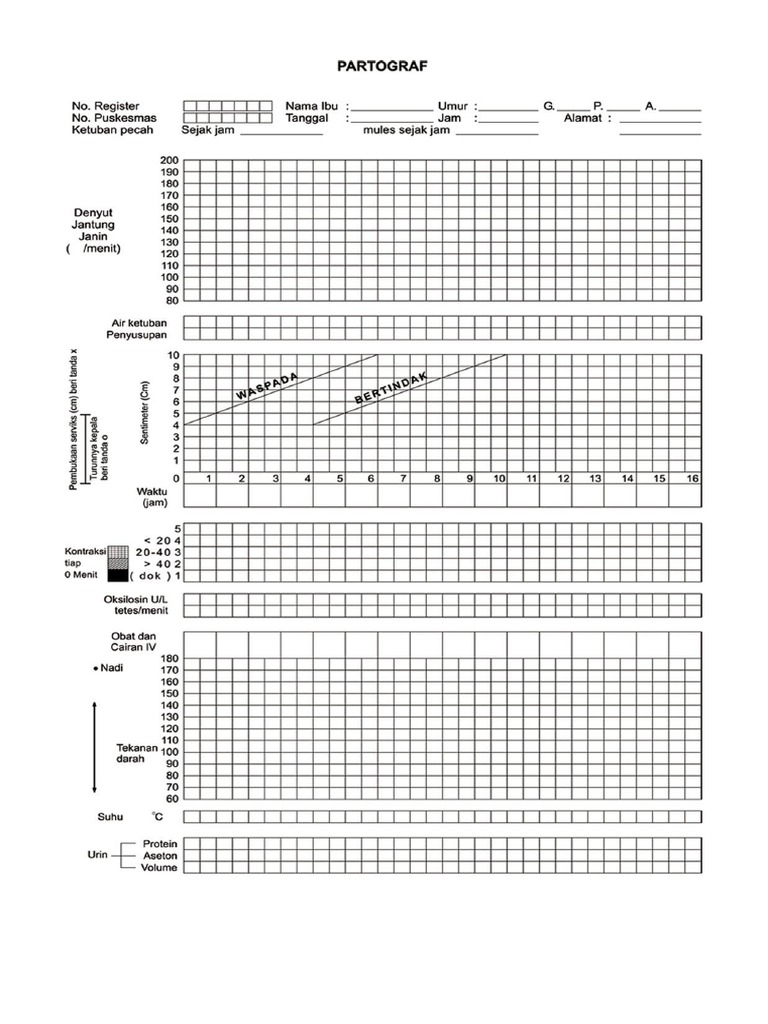 Partograf HD | PDF