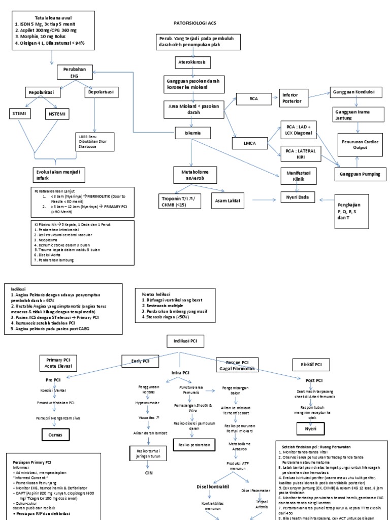Patofisiologi dan Penatalaksanaan ACS | PDF