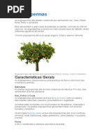 Morfologia Gramineas | PDF | Semente | Raiz