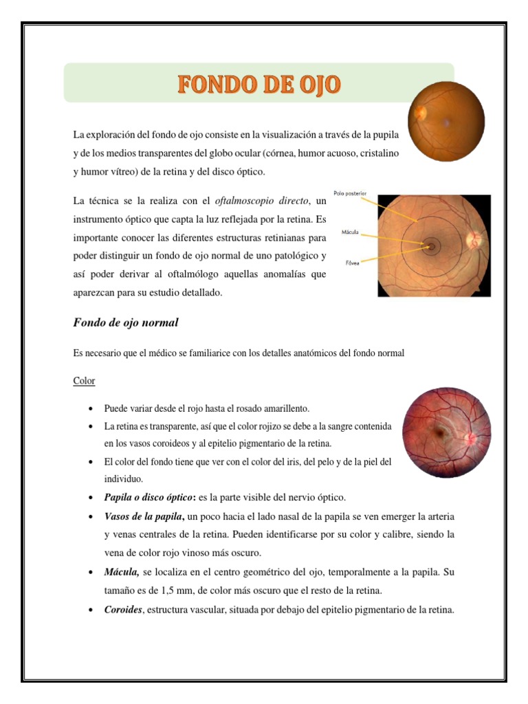 Fondo de Ojo | PDF | Ojo humano | Sistema nervioso