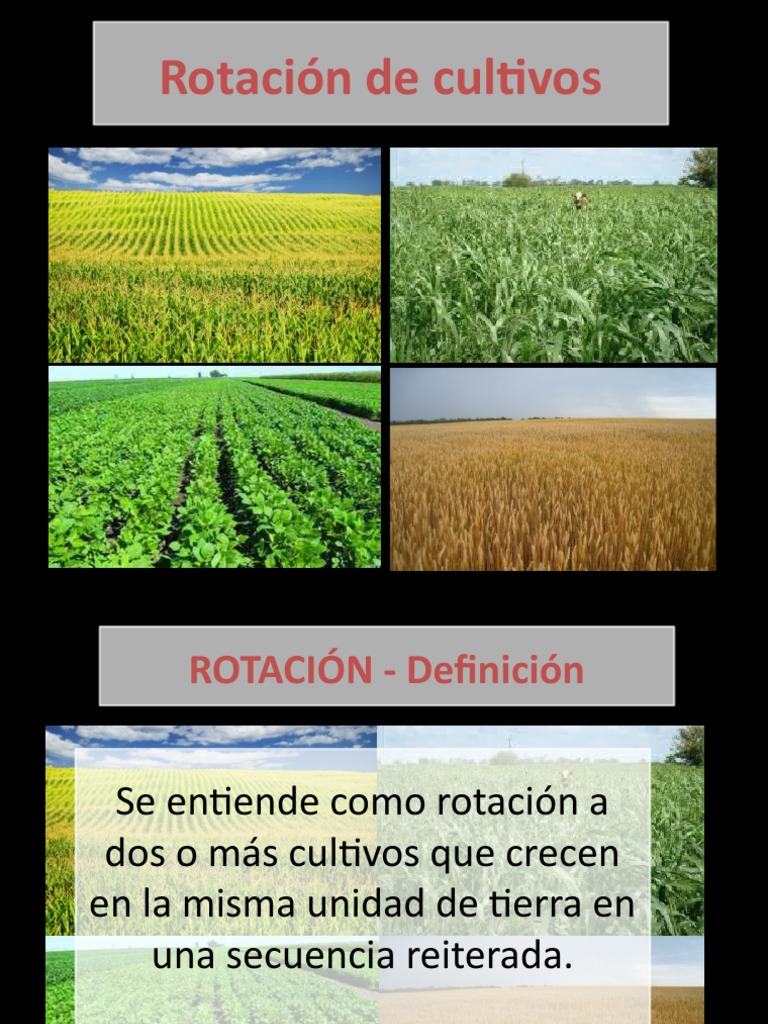 Definición y Beneficios de Rotación de Cultivos | PDF | Suelo | Agricultura