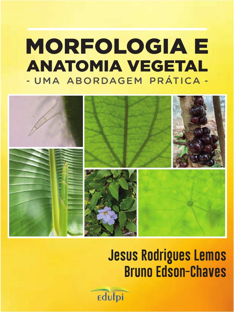 Morfologia e anatomia vegetal: uma abordagem prática | PDF | Plantas ...