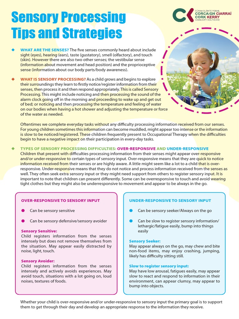 Examples Of Occupational Therapy Goals For Sensory Integration Pdf