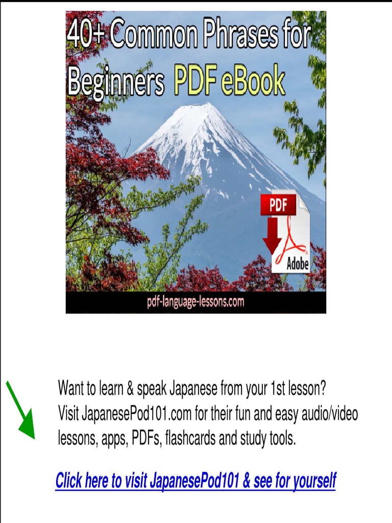 Japanese PDF Lesson 40 Phrases | PDF