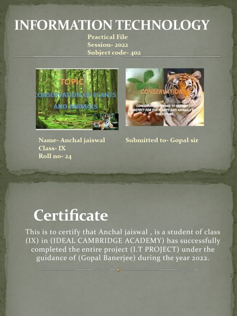 Information Technology | PDF